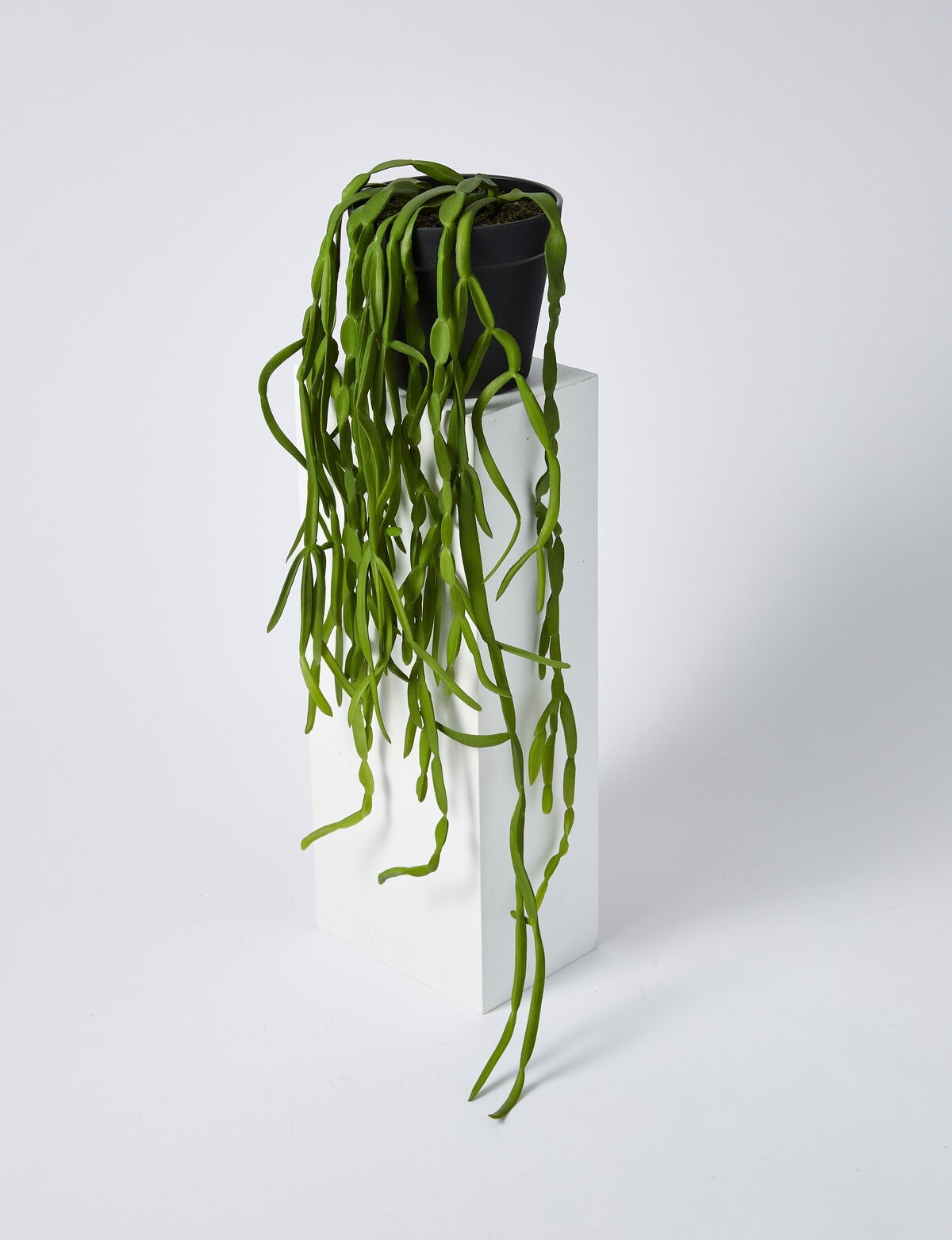 M&Co Faux Trailing Succulent - Artificial Plants & Planters