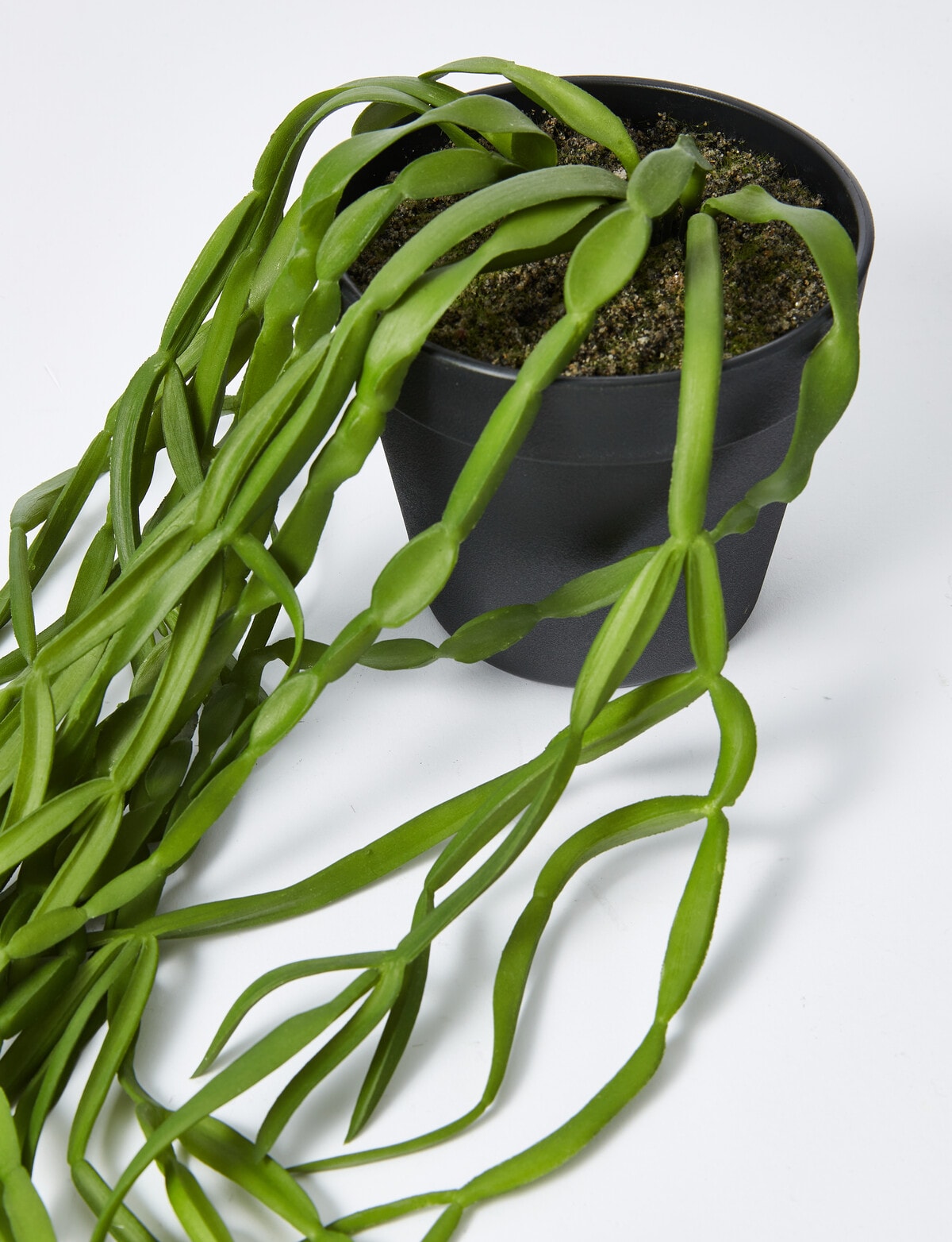 M&Co Faux Trailing Succulent - Artificial Plants & Planters