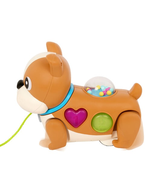 B. Pull Along Pup - Infants & Preschool