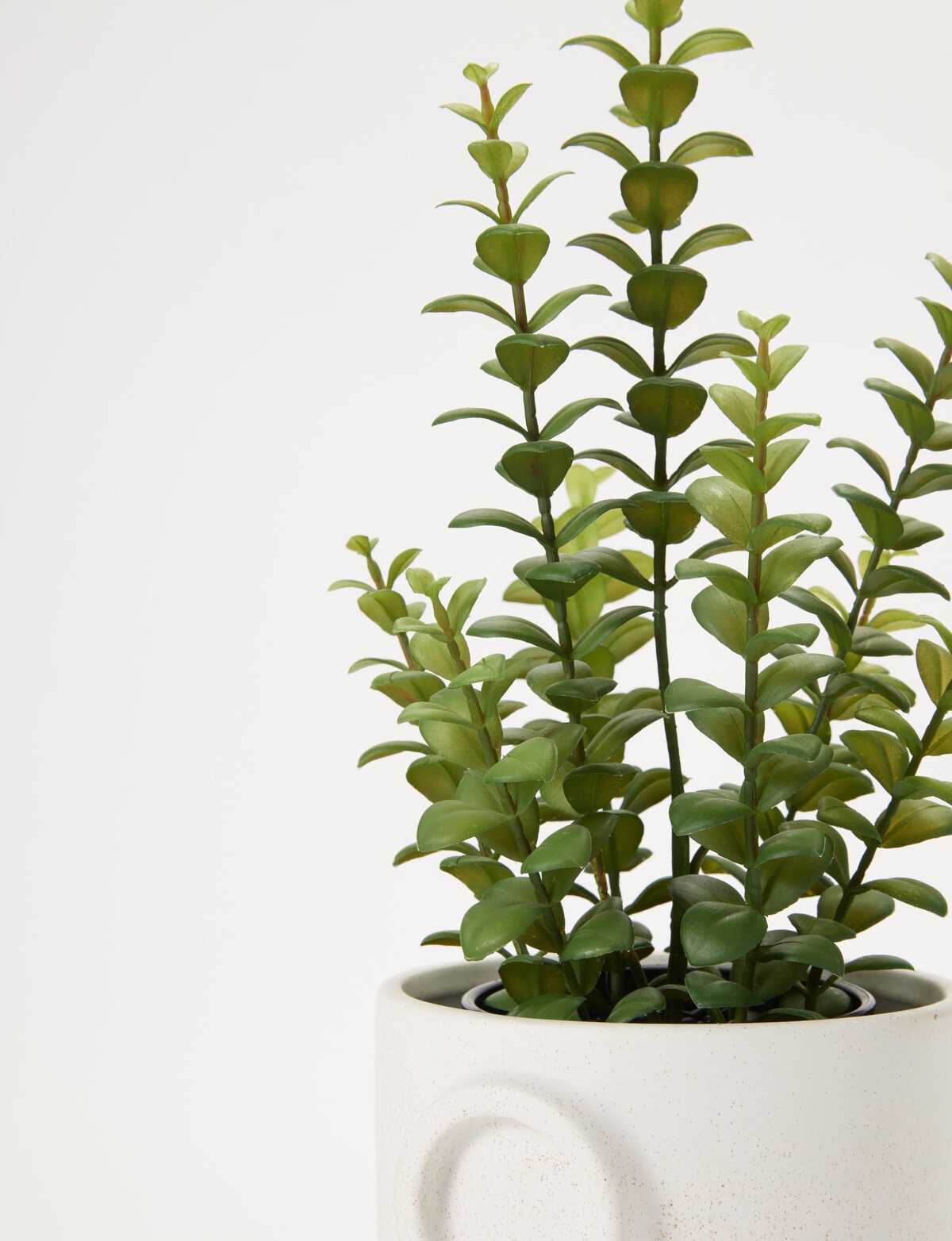 Tilly Home Faux Succulent Small - Artificial Plants & Planters