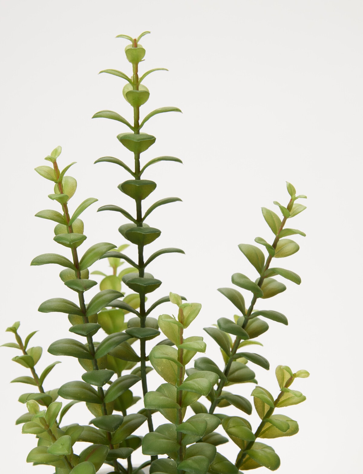 Tilly Home Faux Succulent Small - Artificial Plants & Planters