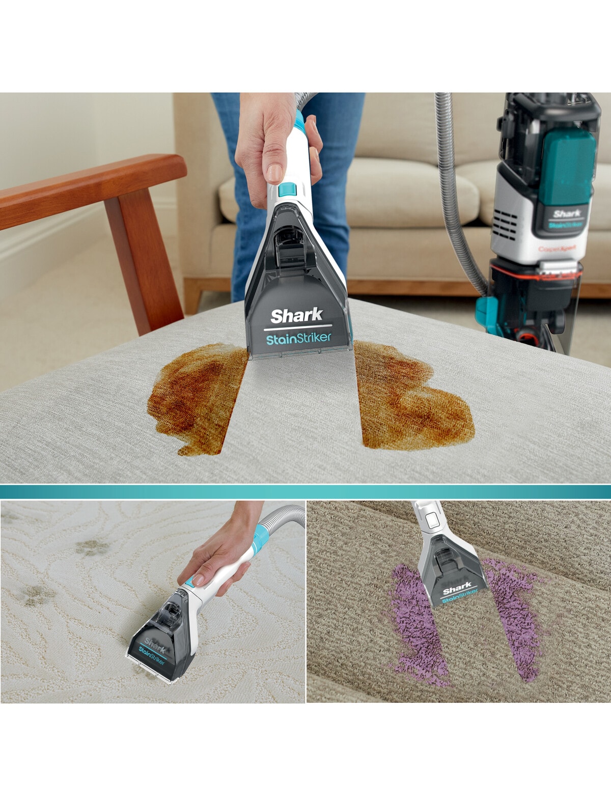 Shark CarpetXpert Deep Clean Pro Formula, EXCM48ANZ - Vacuum Cleaners