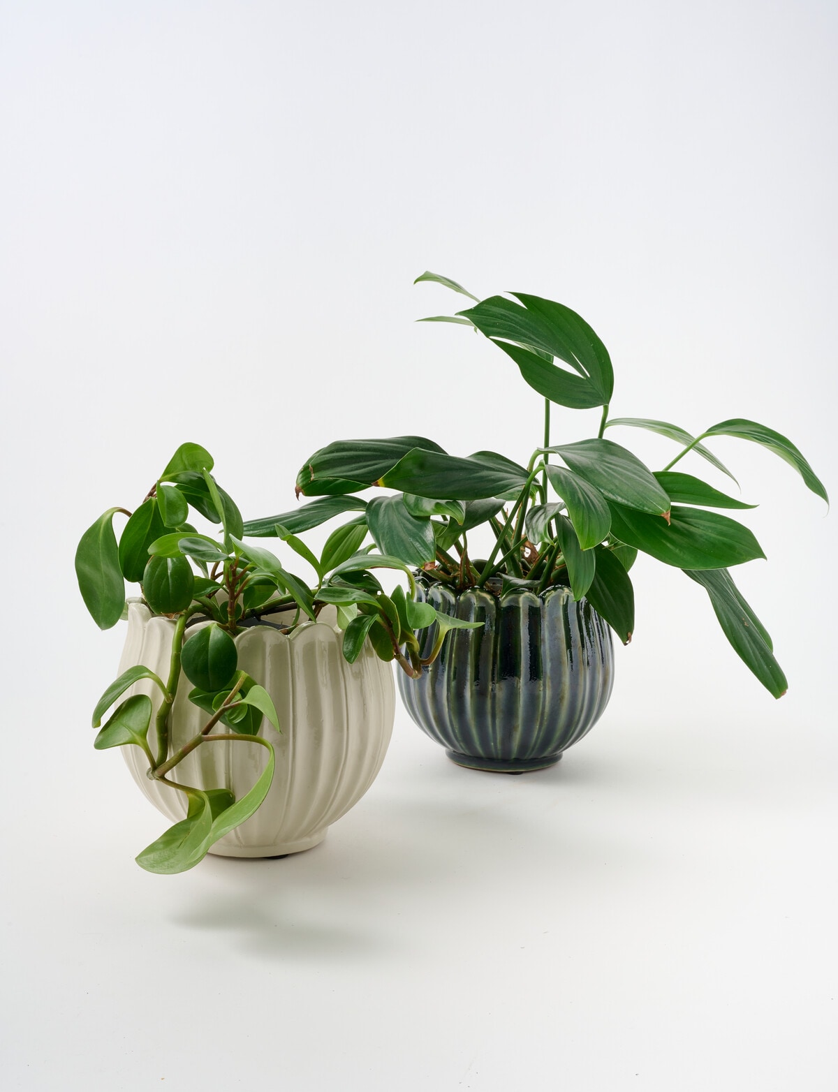 Tilly Home Flore Pot - Artificial Plants & Planters