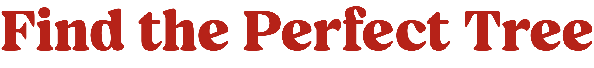 Christmas Decor NZ: Shop All Things Christmas | Farmers NZ